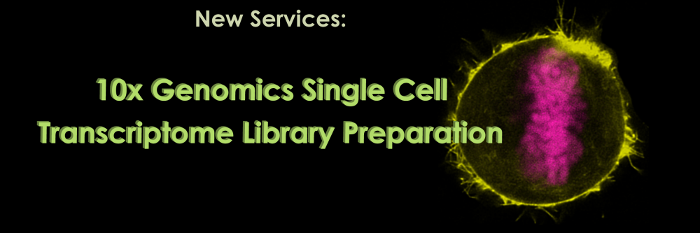 10x Genomics Single Cell Services | Center - Imaging Center