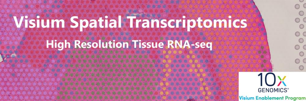 Visium Spatial Transcriptomics | Center - Imaging Center